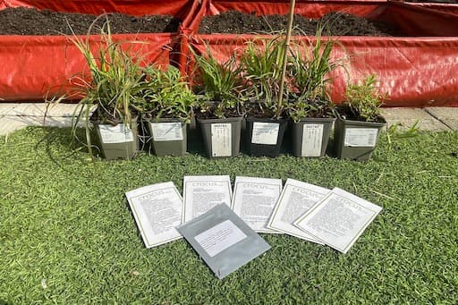 DIY-Editionen - Pollinator Pathmaker