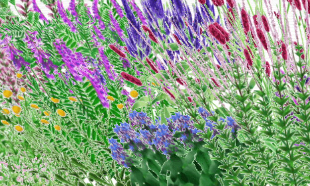 DIY Editions - Pollinator Pathmaker